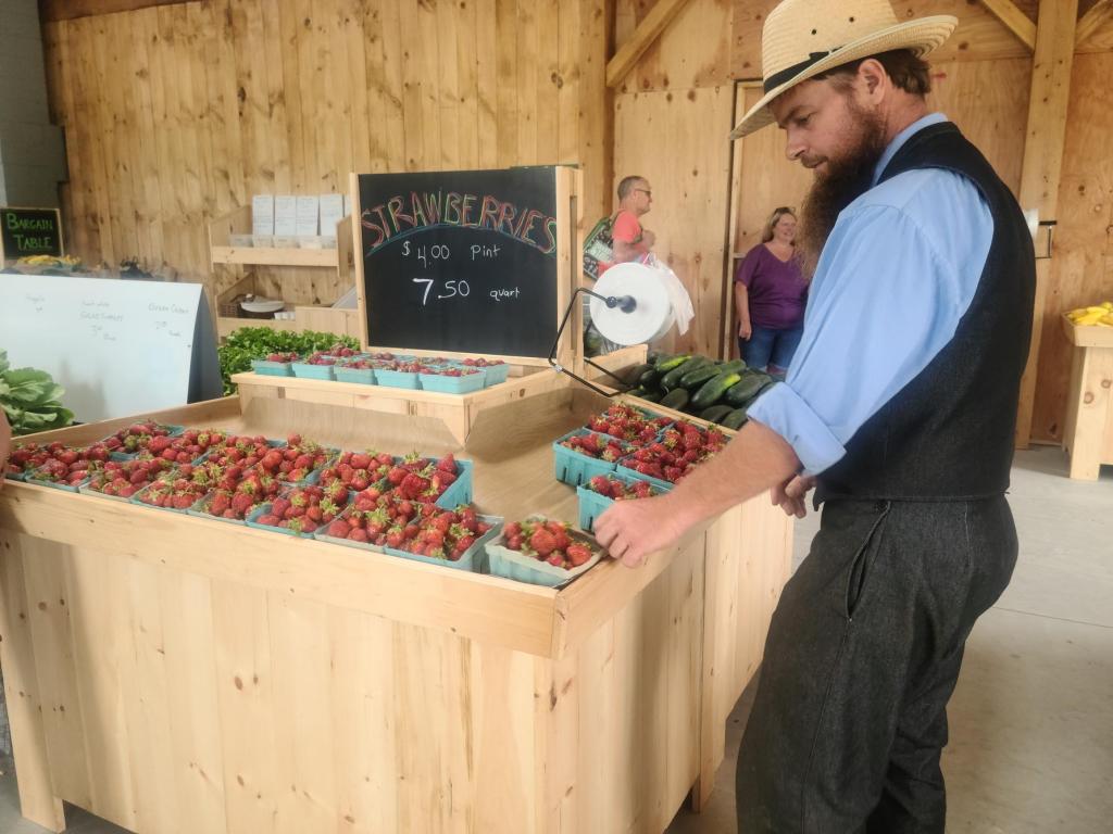 Pasture Lane Farm Market, an Amish farm market in Livermore Falls ...
