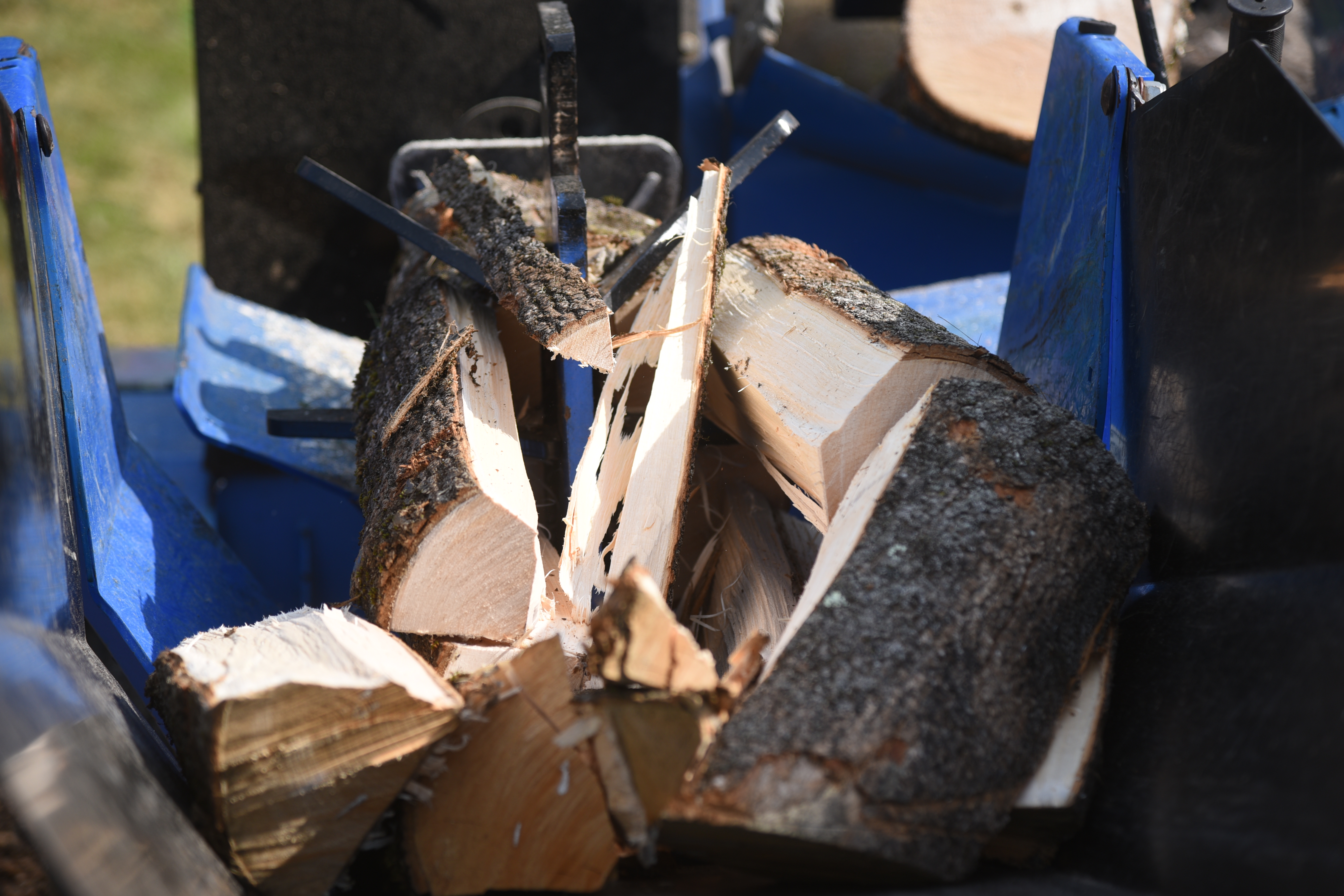 Nonprofit seeks volunteers to process trees for wood bank