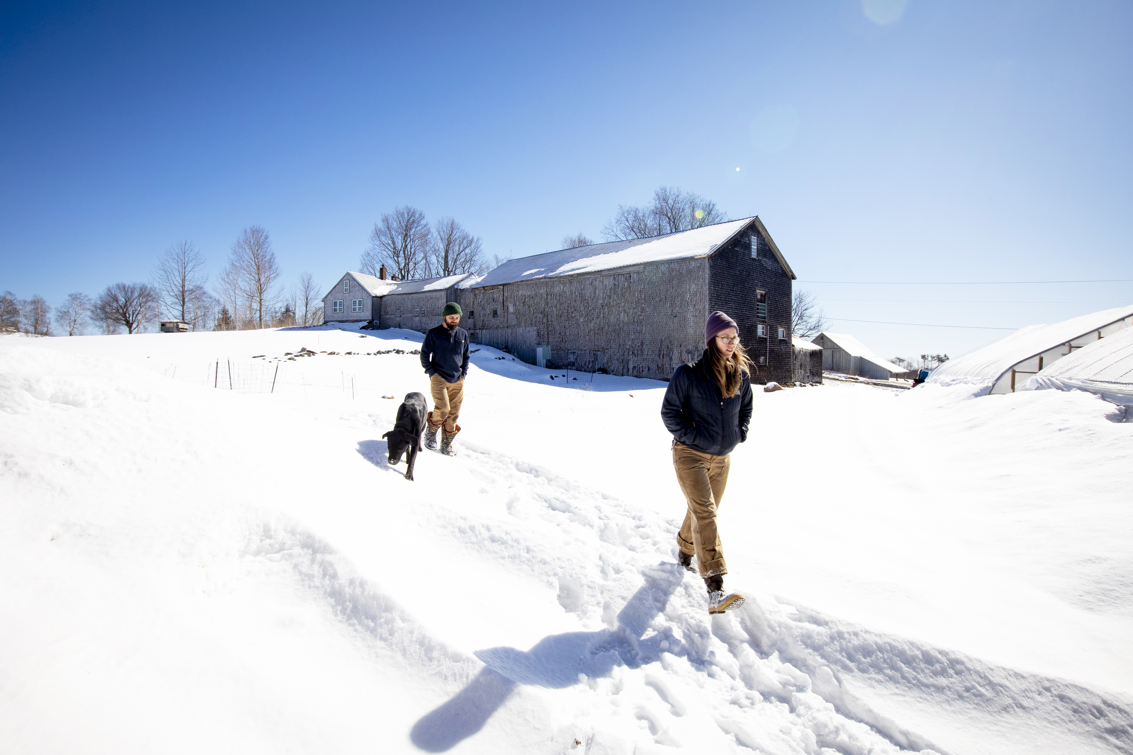 Federal cuts thwart West Paris farm’s future plans