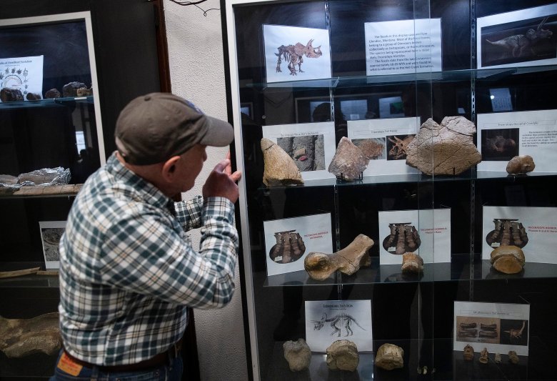 Fossil collection of Portland High alum has new digs at school