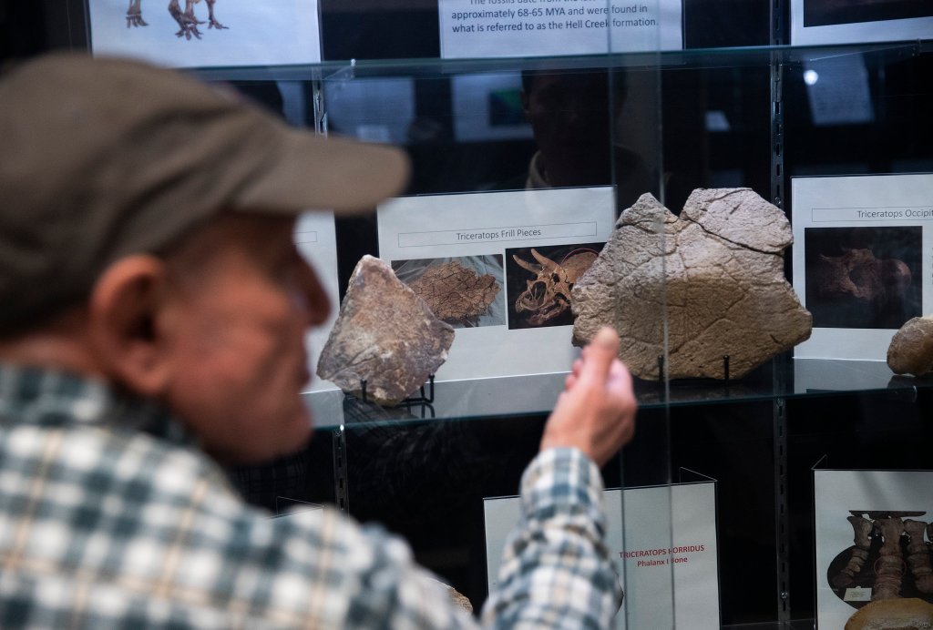 Fossil collection of Portland High alum has new digs at school