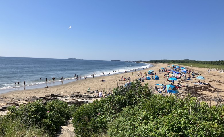 Reid State Park leads new era of coastal management