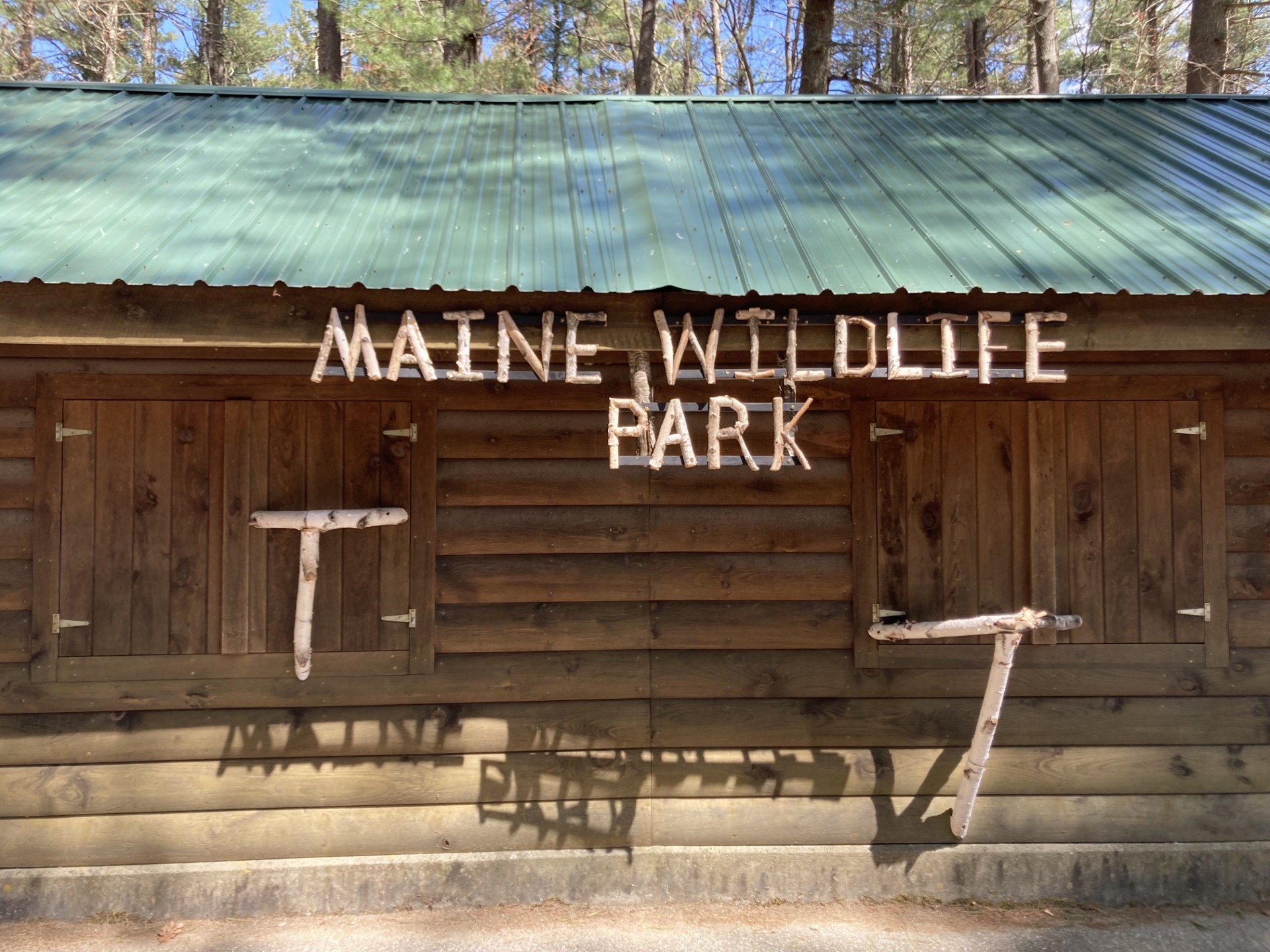 Maine Wildlife Park welcomes visitors, plans new building | News Minimalist