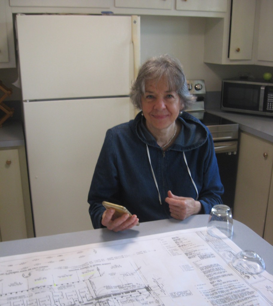 Flooded cellar is a town issue, says Gorham homeowner