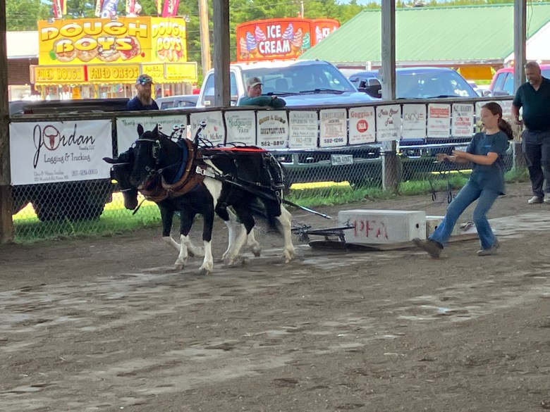 Family of horse and pony lovers strut their stuff at Pittston Fair