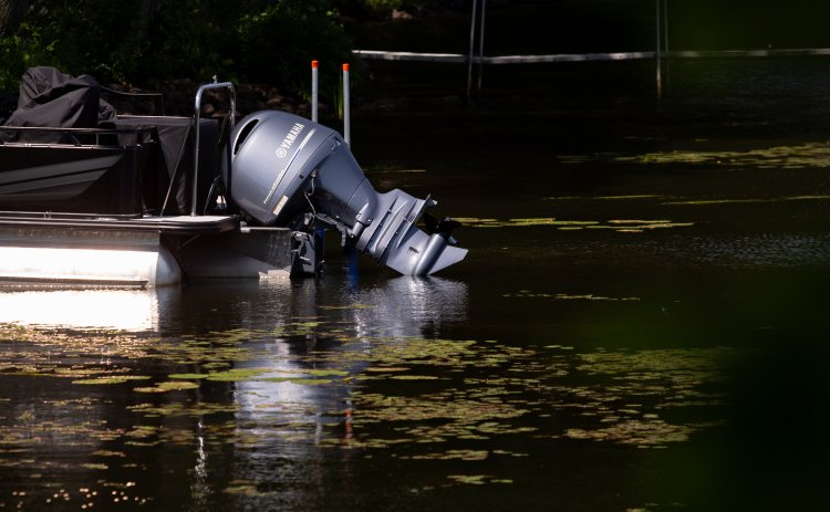 Maine lakes, ponds at risk as invasive bladderwort plant moves in