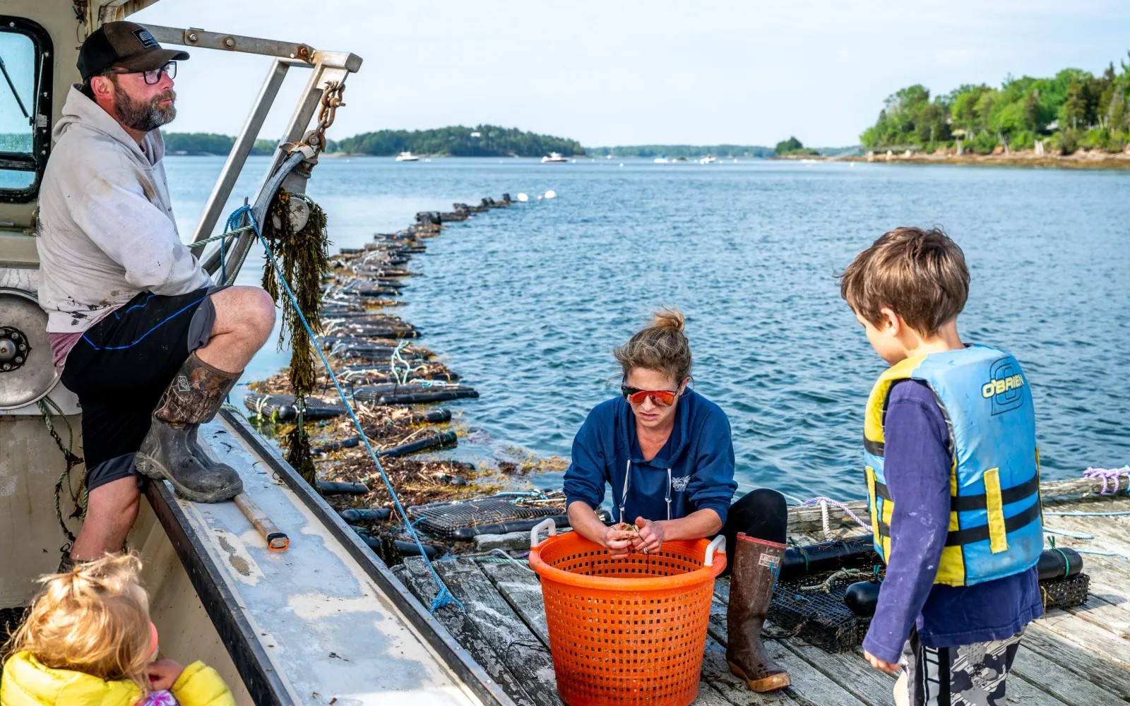 As farming innovation collides with fishing tradition, Harpswell brings ...