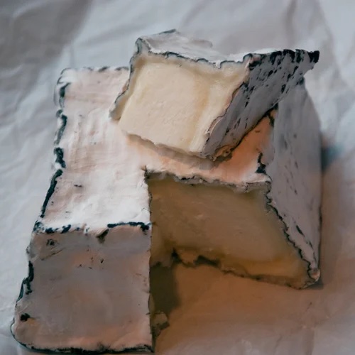 Two cheeses tie for Best in Show at Maine Cheese Festival