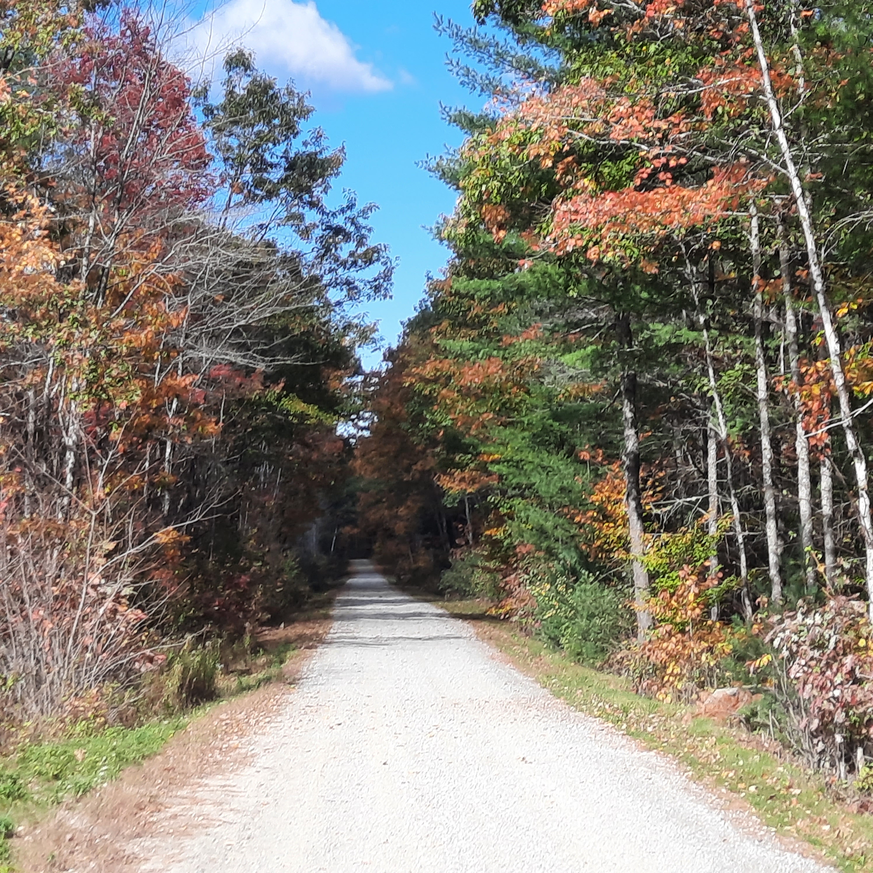 How to stay active in rural Maine