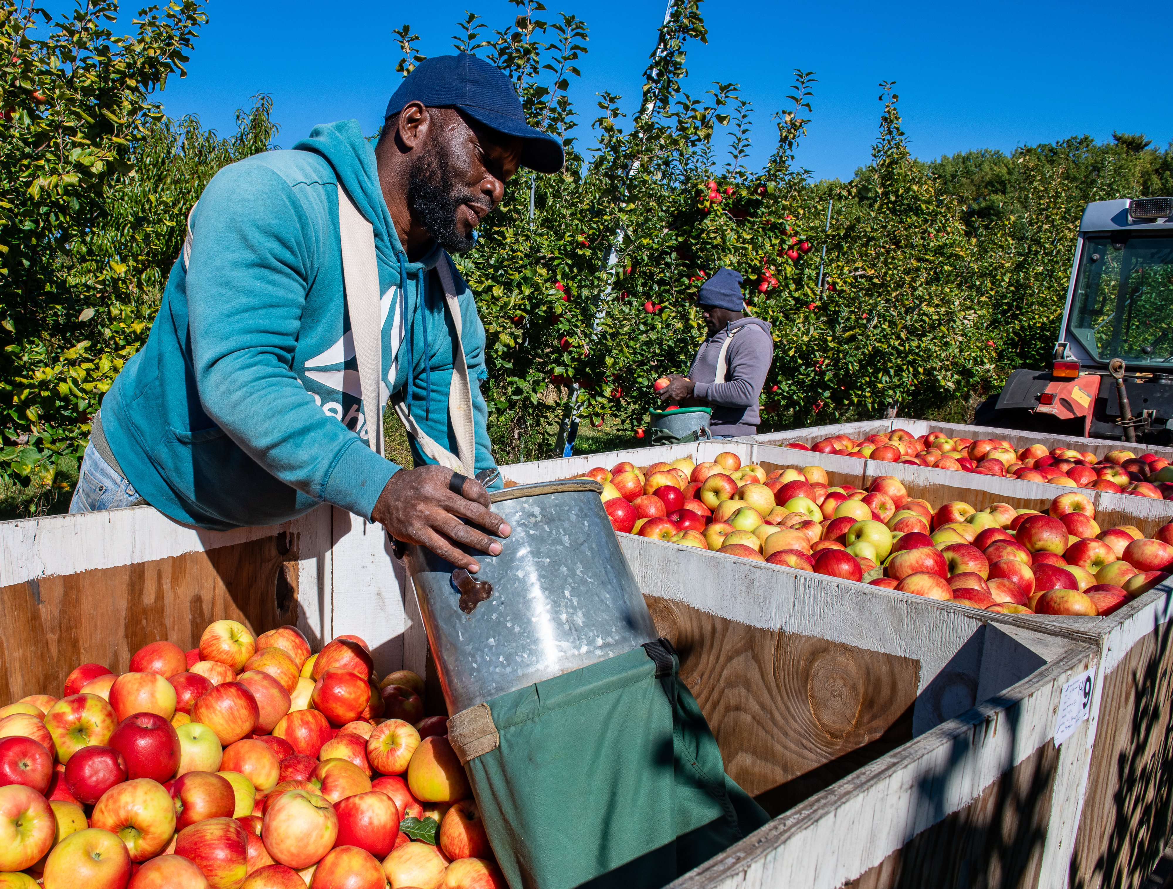 Apple growers say fall crop tasty, available despite drought