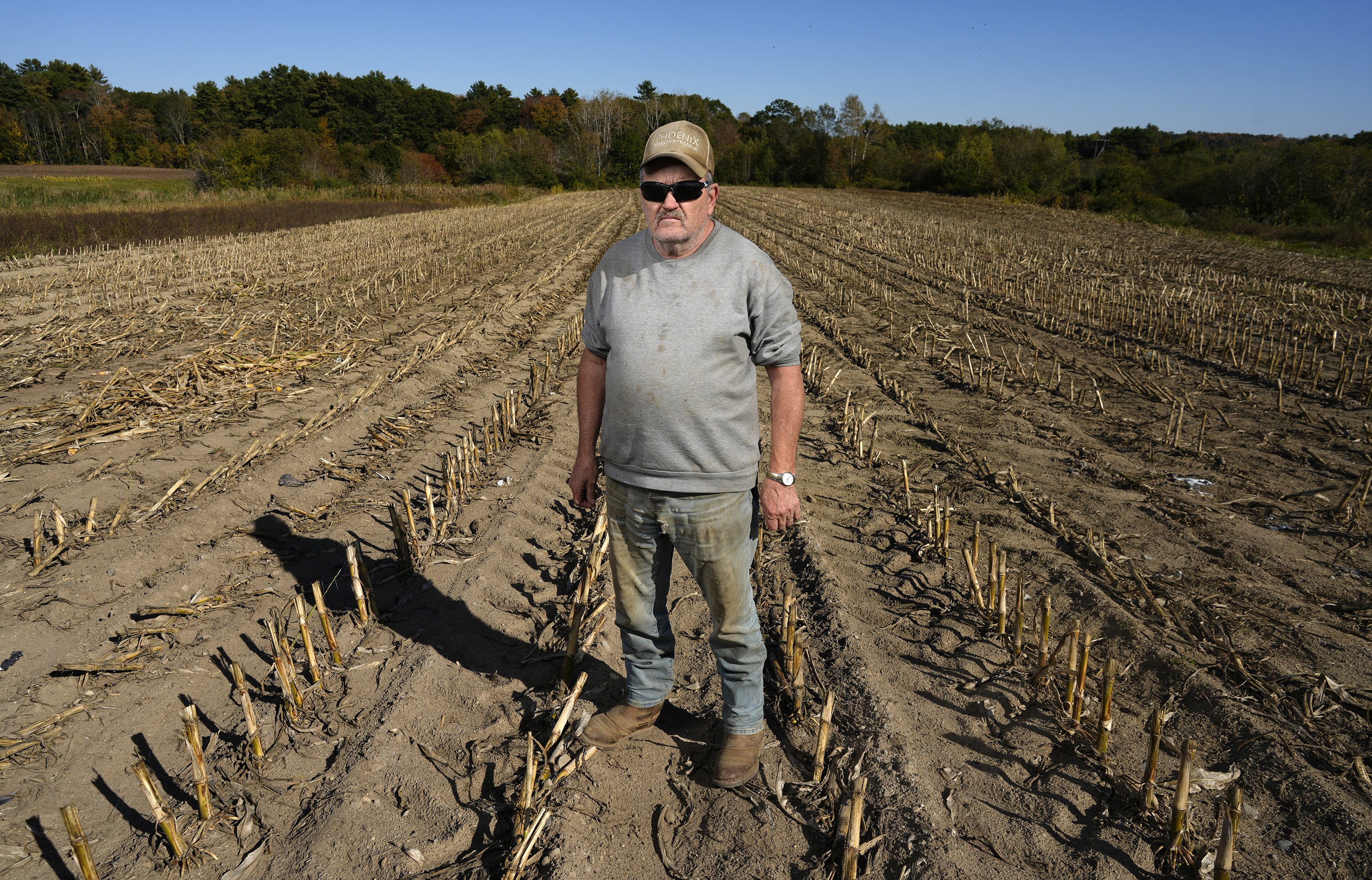 Persistent drought takes toll on Maine farmers