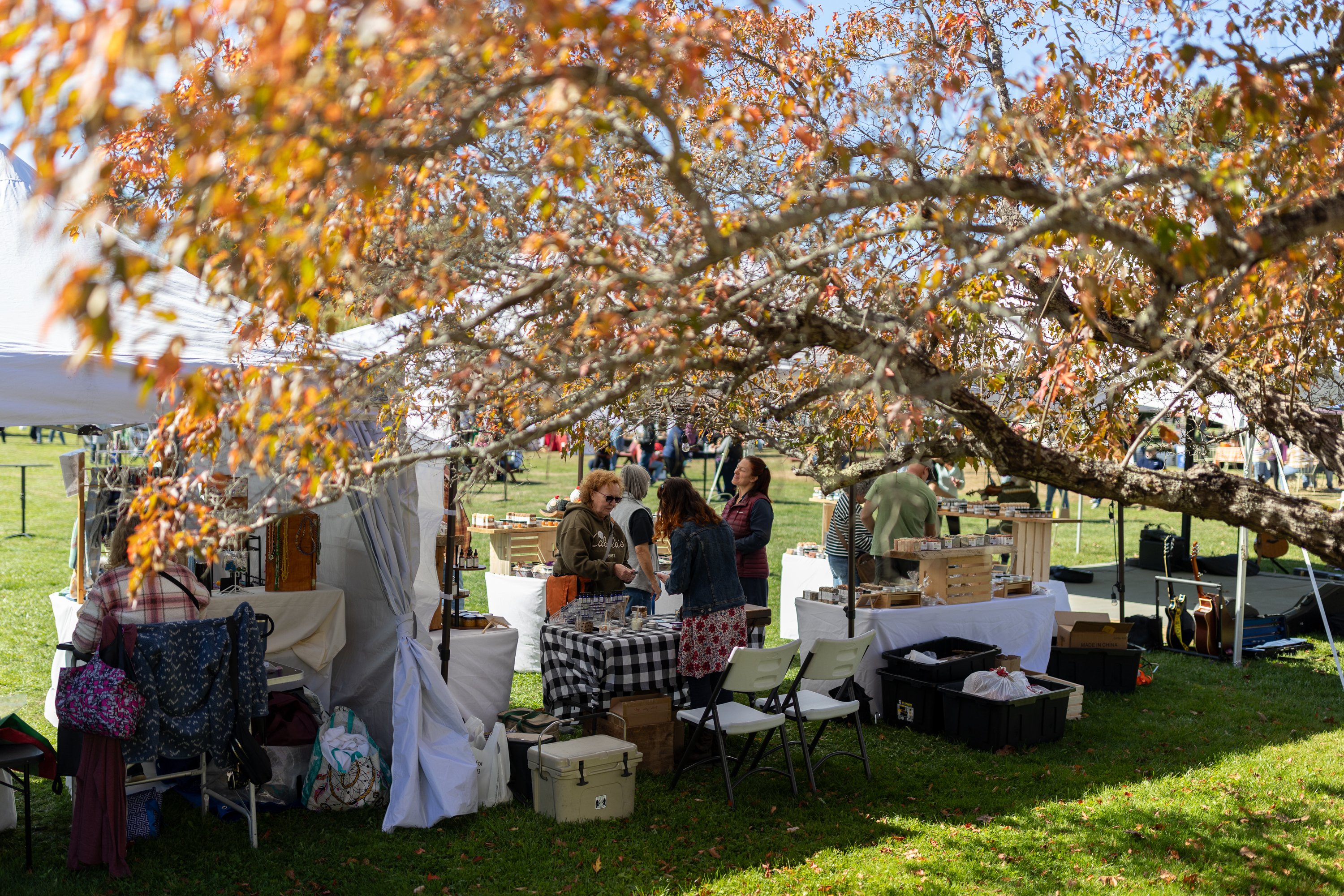 With less vibrant colors, fall foliage still draws tourists to Boothbay