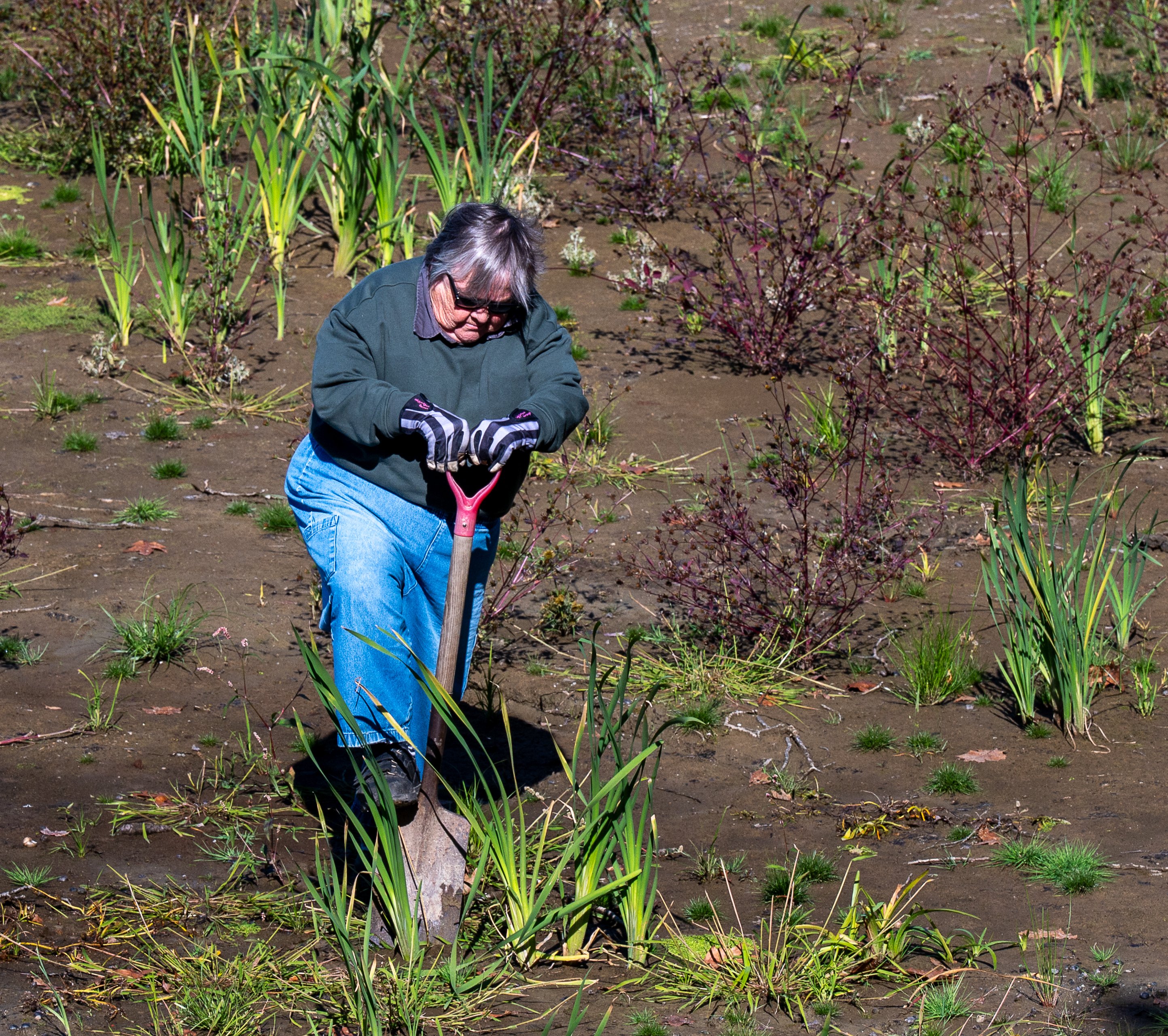 Woman’s ‘labor of love’ at Sabattus Pond draws scrutiny from state ...