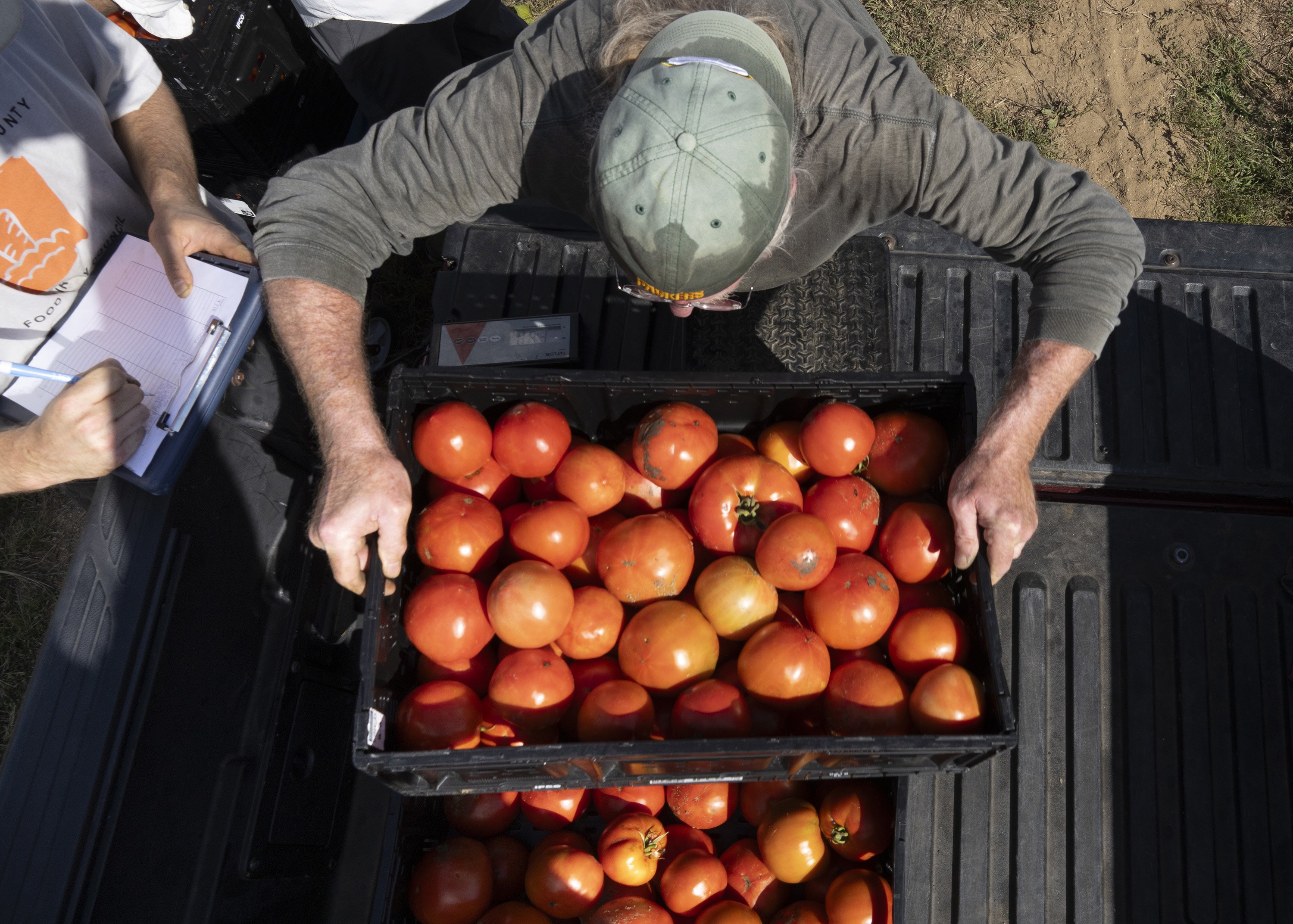 Gleaning the farm field leftovers that food pantries depend on