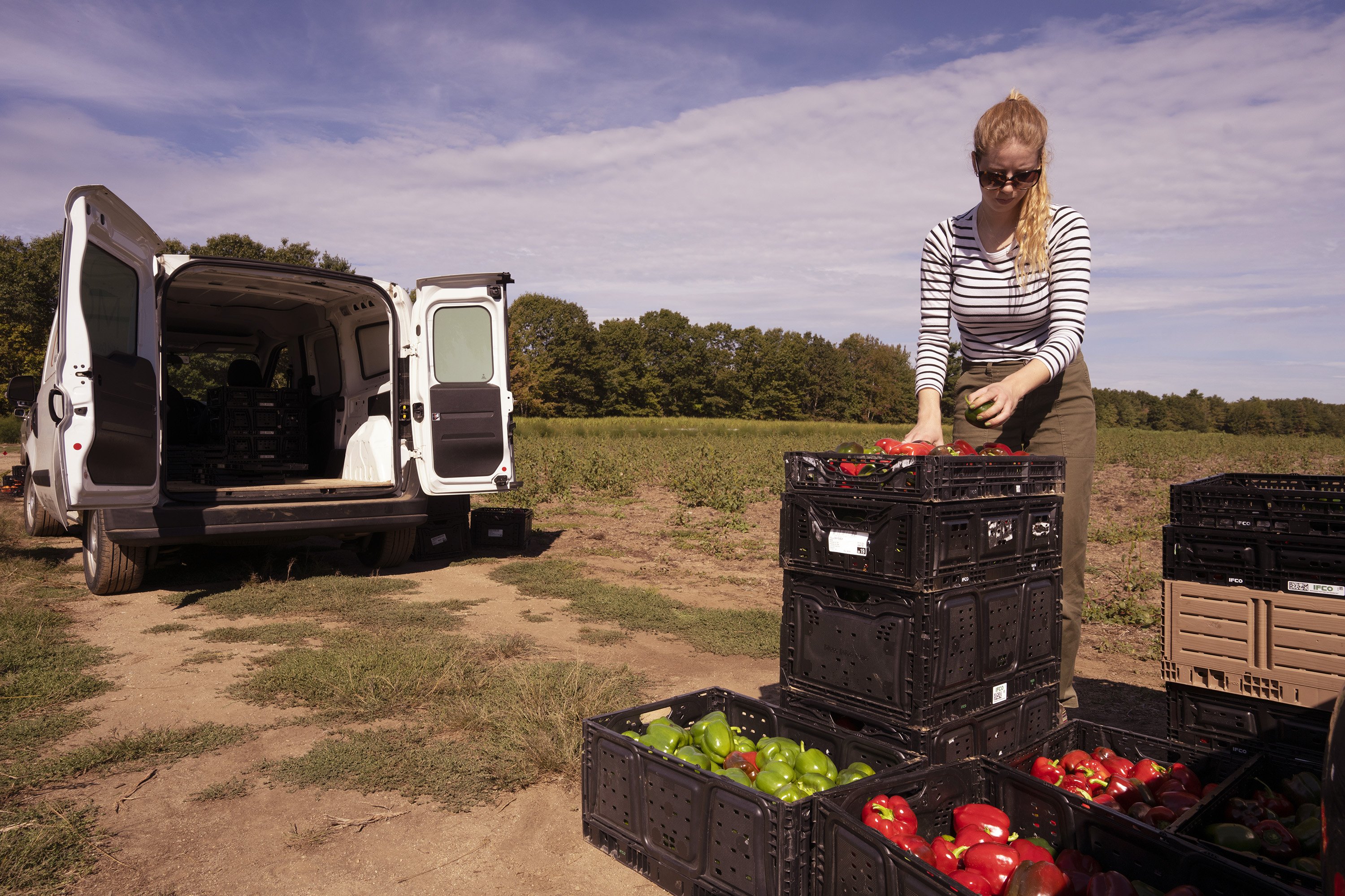 Gleaning the farm field leftovers that food pantries depend on