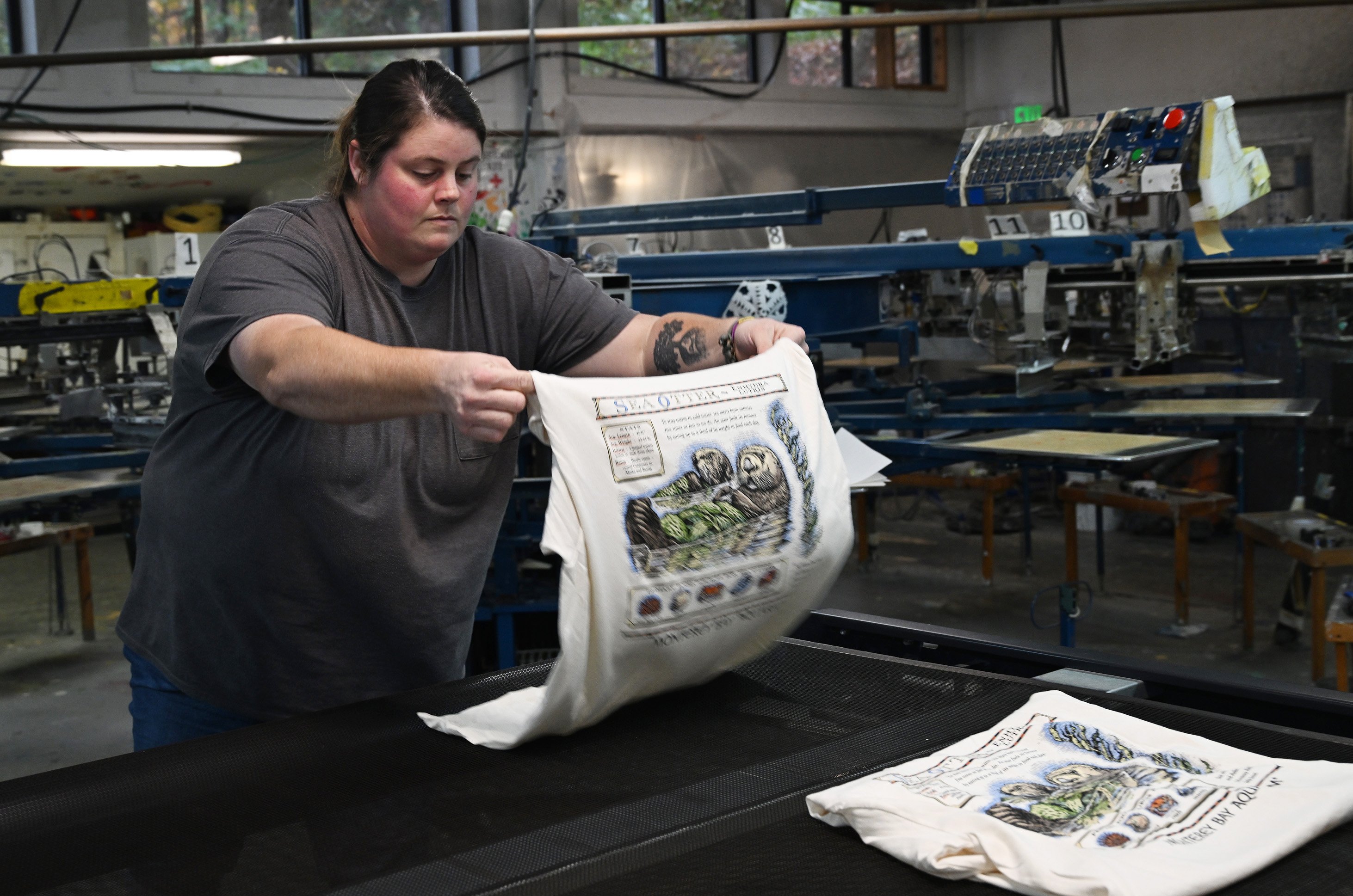 Taylor Swift otter T-shirt auction will help fight hunger in Midcoast Maine