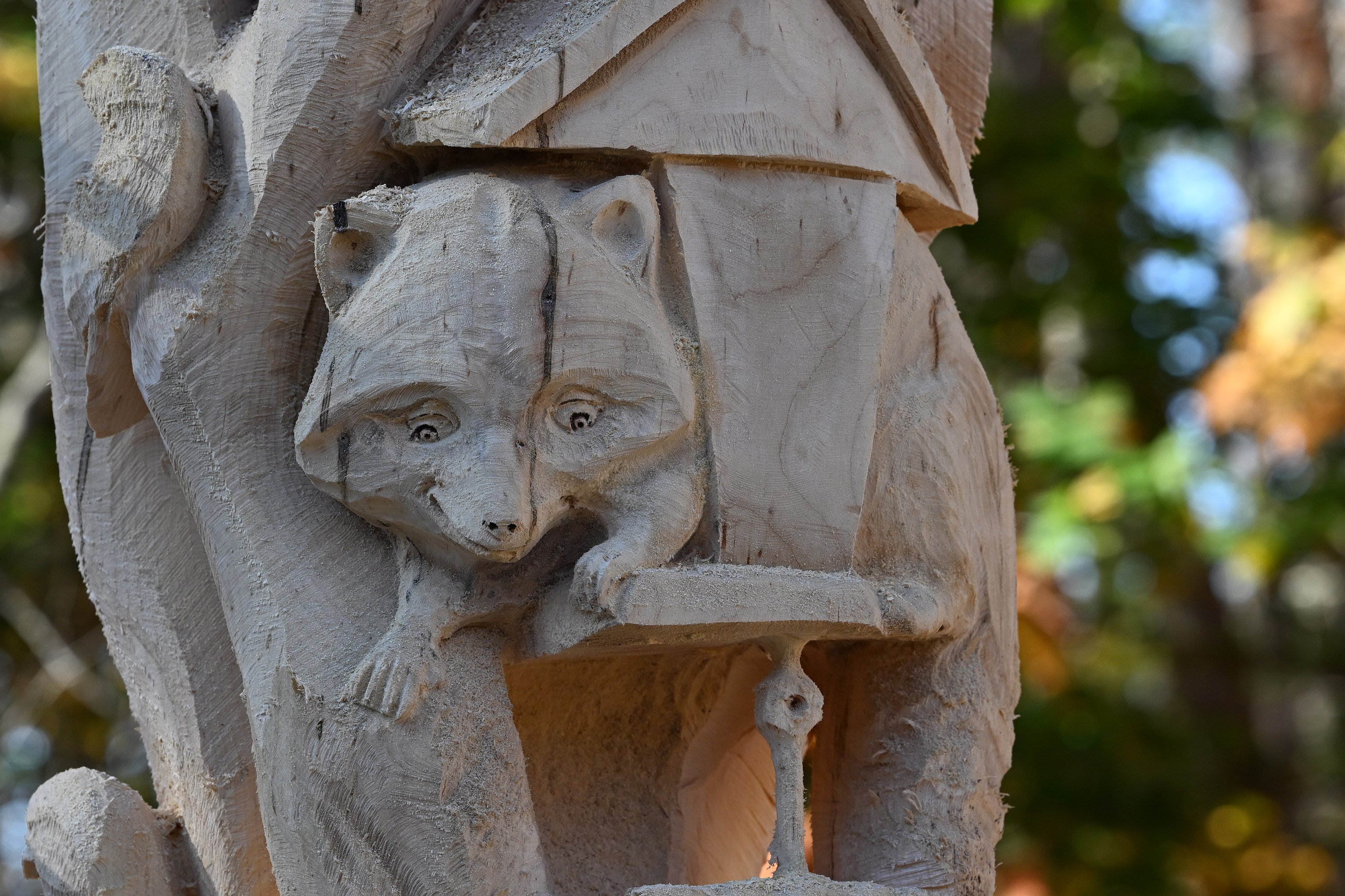 Chainsaw artist breathes new life into South Portland tree stump
