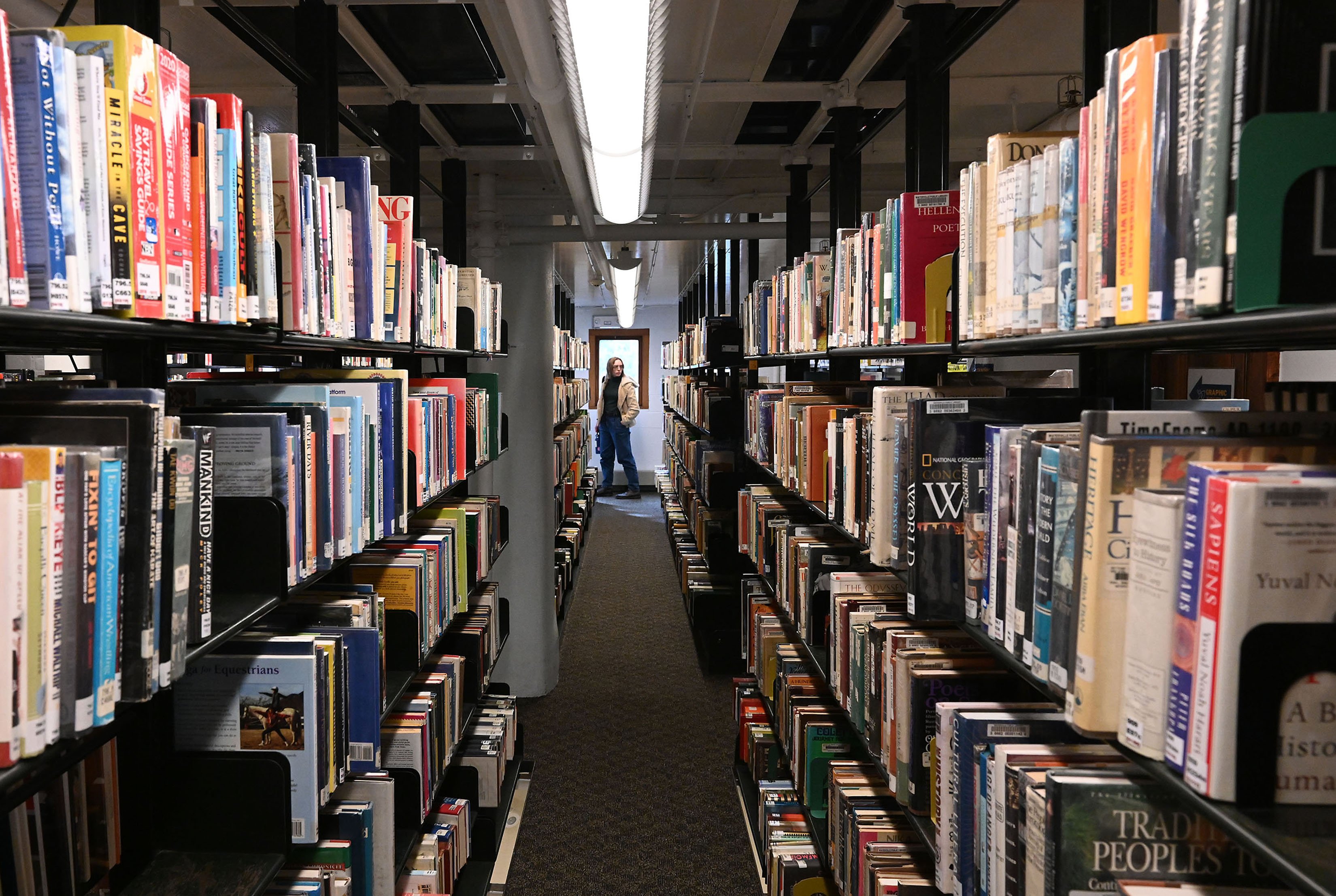 Maine’s Carnegie libraries get a gift in celebration of American ...