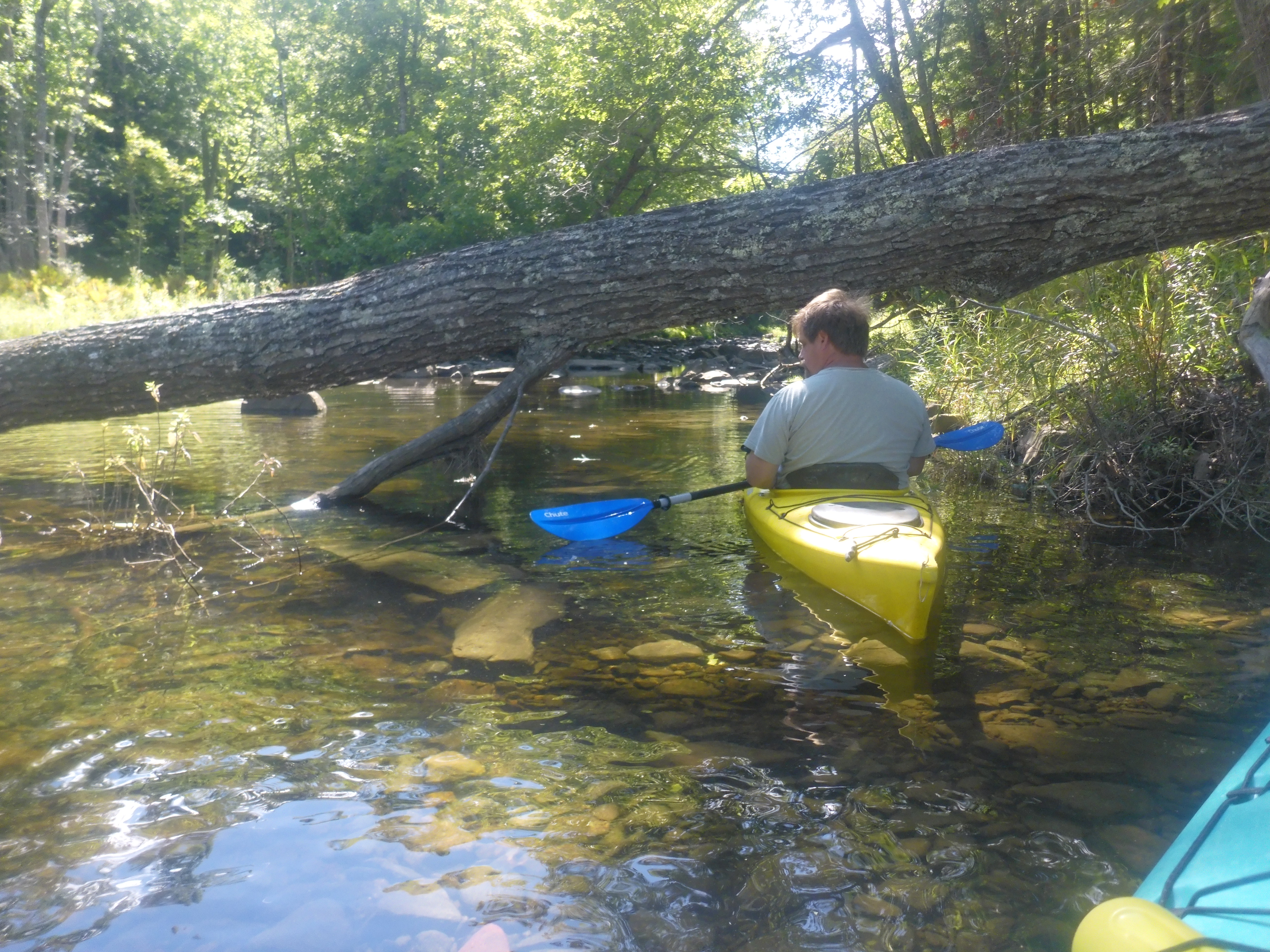 Kayaking to Head of Tide on the Passagassawakeag River