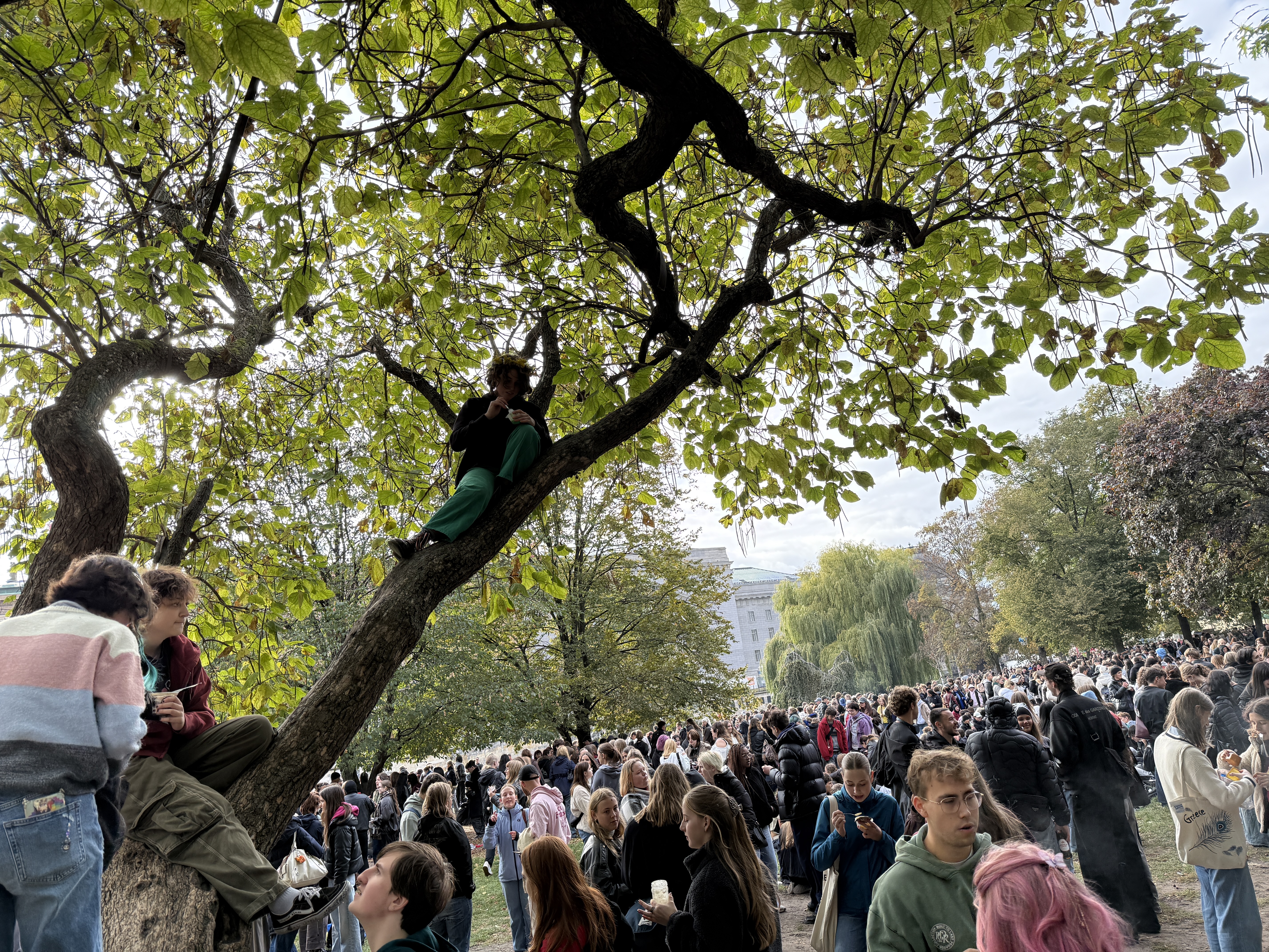 Germans meet up to eat pudding with forks — and the trend goes global