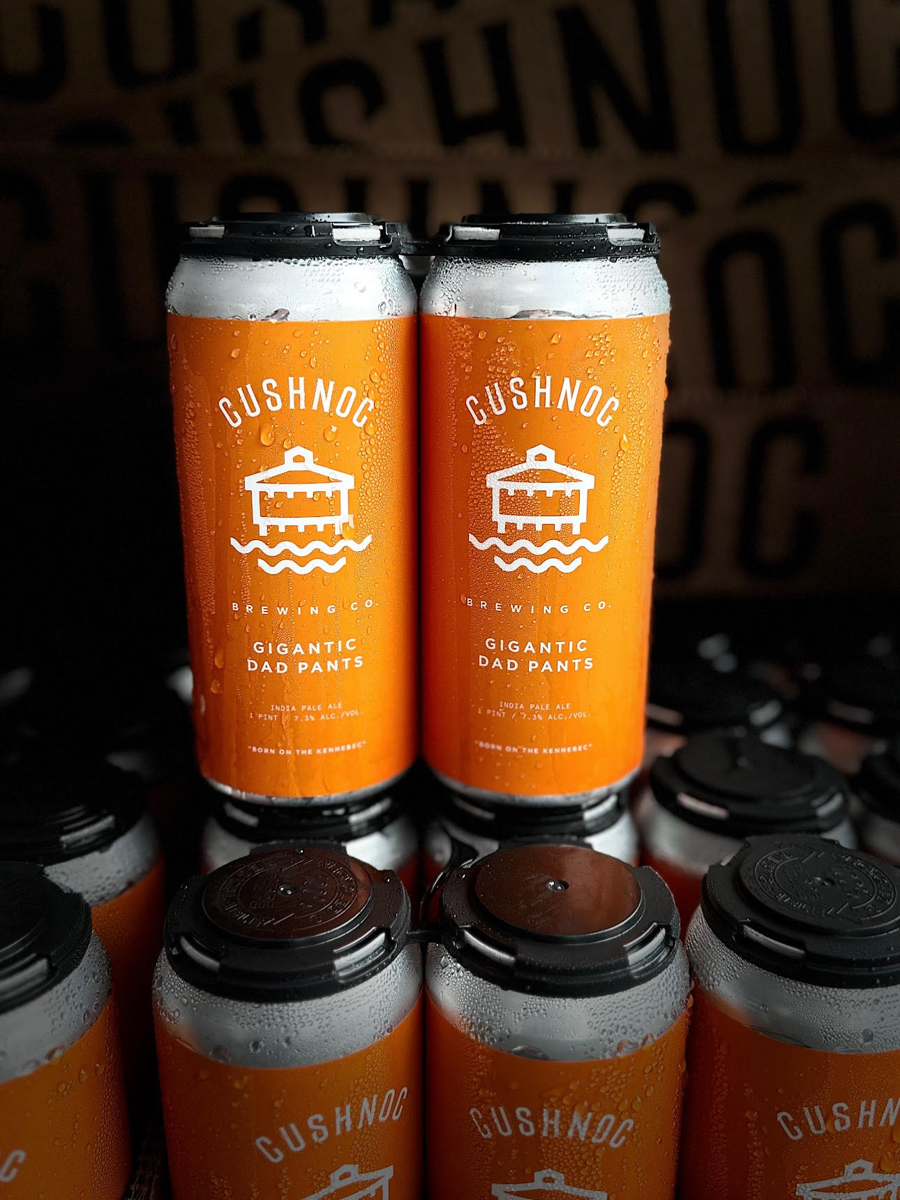 The stories behind Maine’s most famous and strangest craft beer names ...