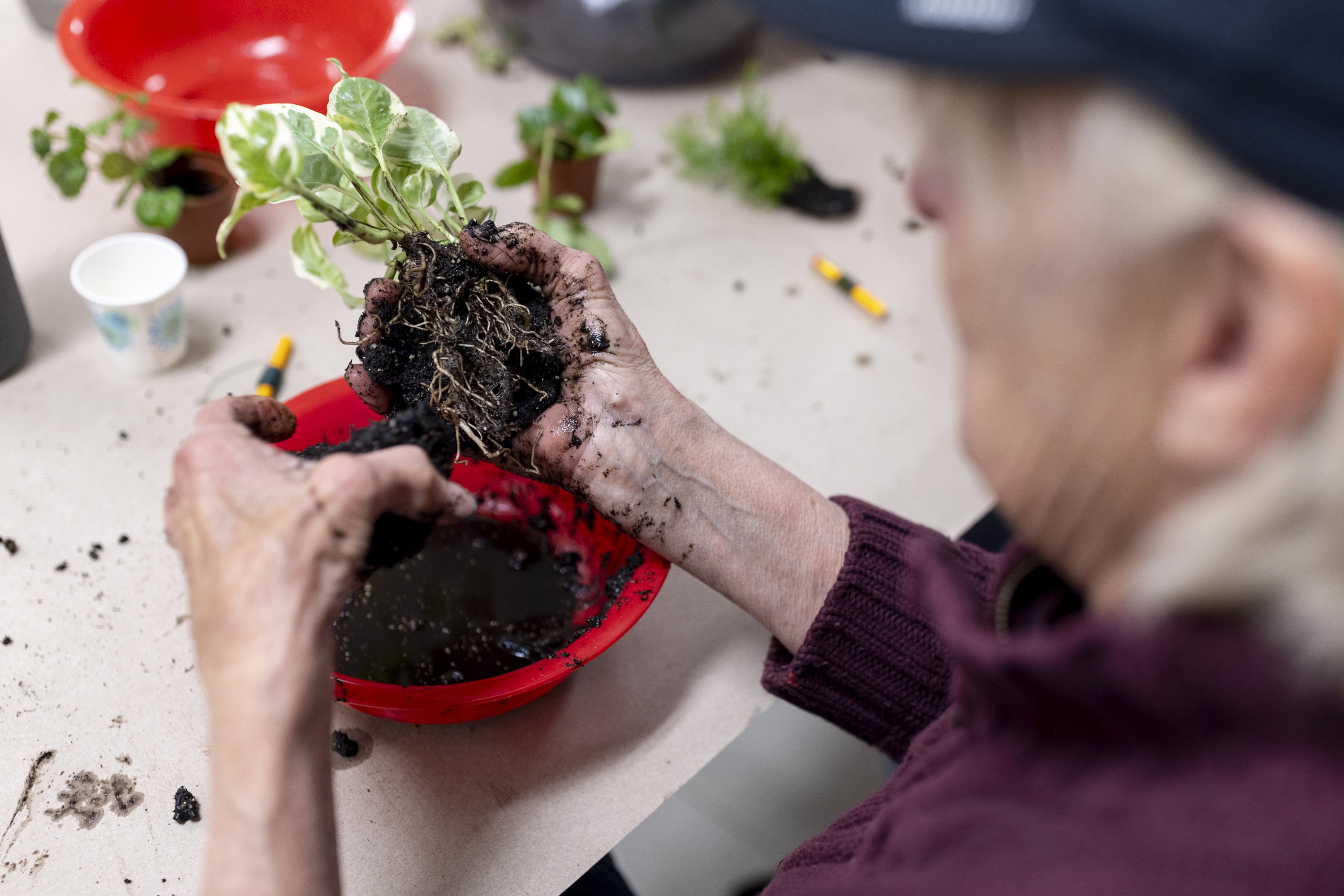 Therapeutic horticulture workshops encourage people to get their hands ...
