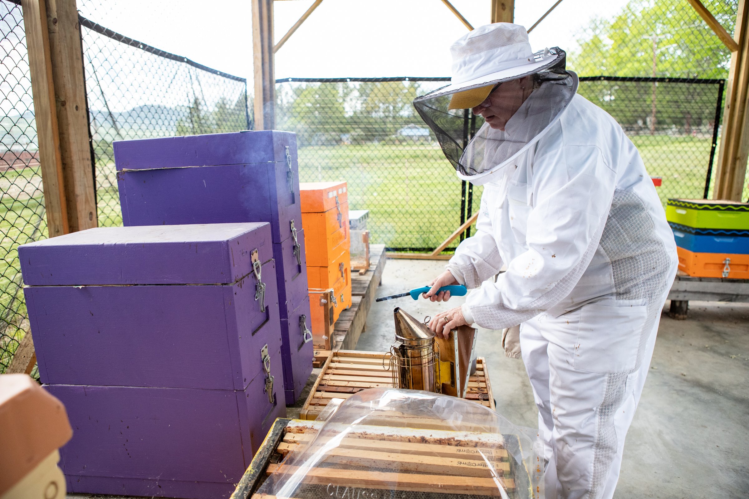 Busy as bees: Homeschool kids visit Mexico apiary | photos