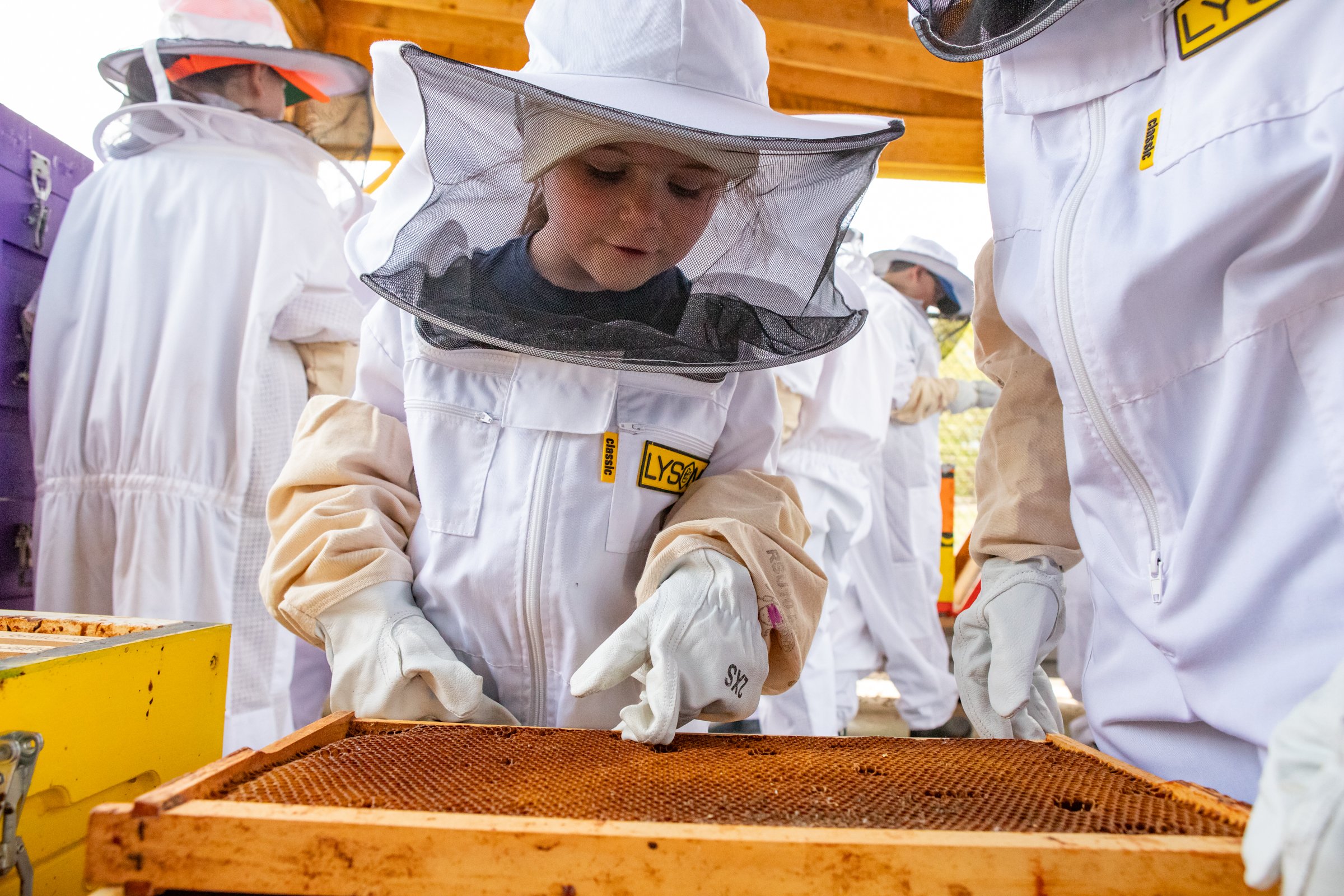 Busy as bees: Homeschool kids visit Mexico apiary | photos