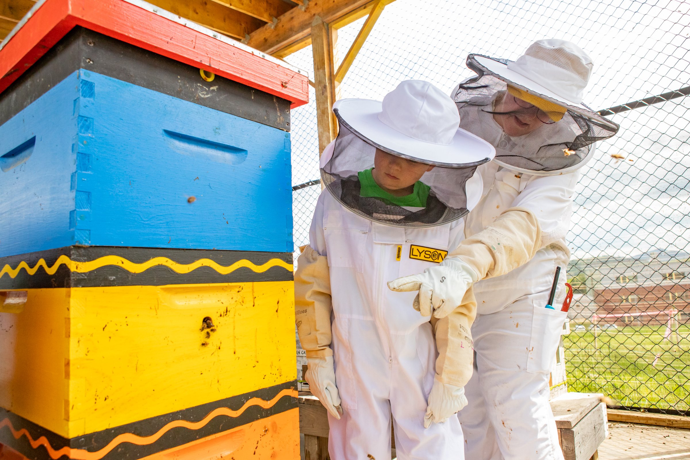 Busy as bees: Homeschool kids visit Mexico apiary | photos