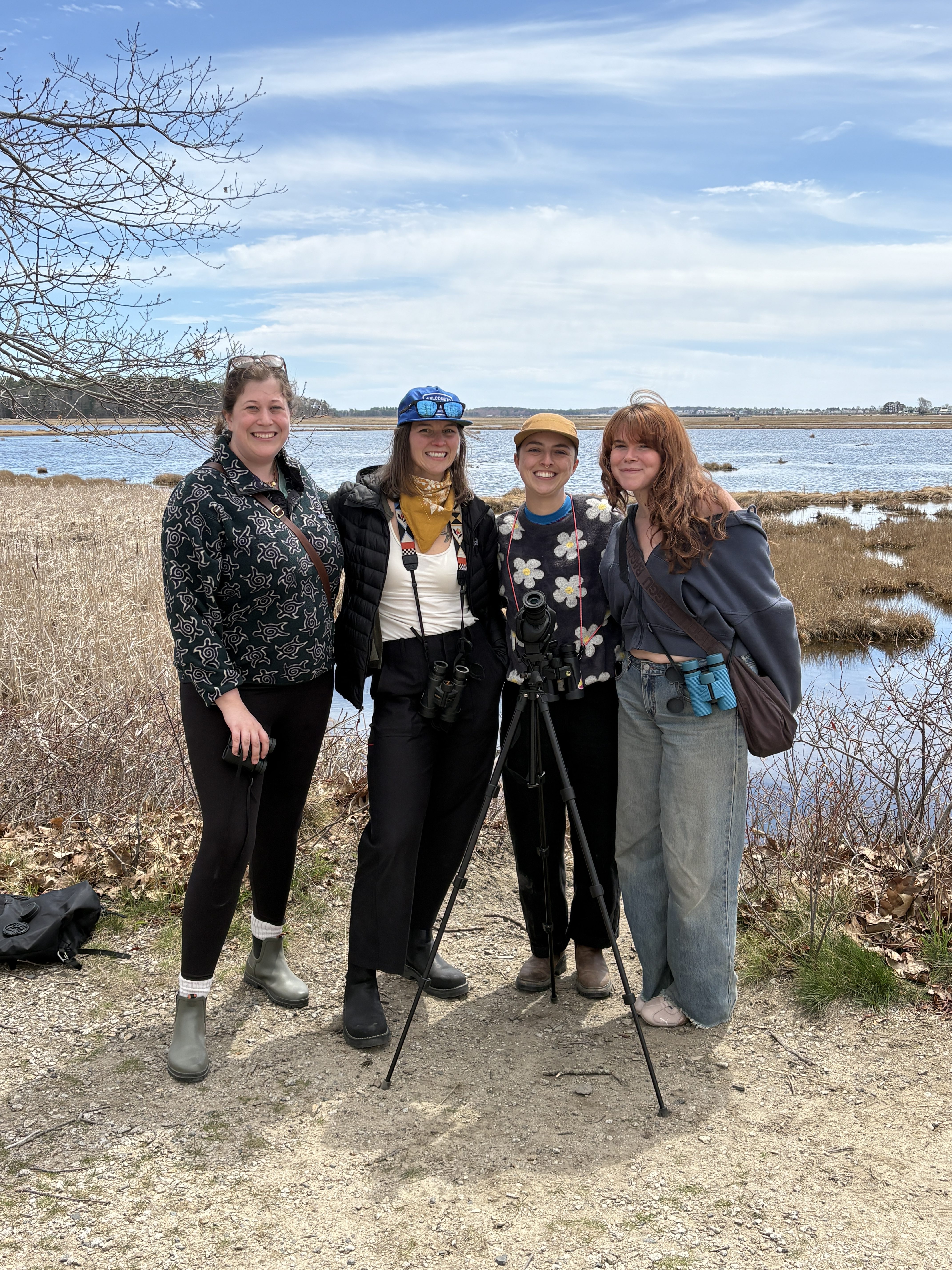 Interested in bird watching in Maine? Join the flock