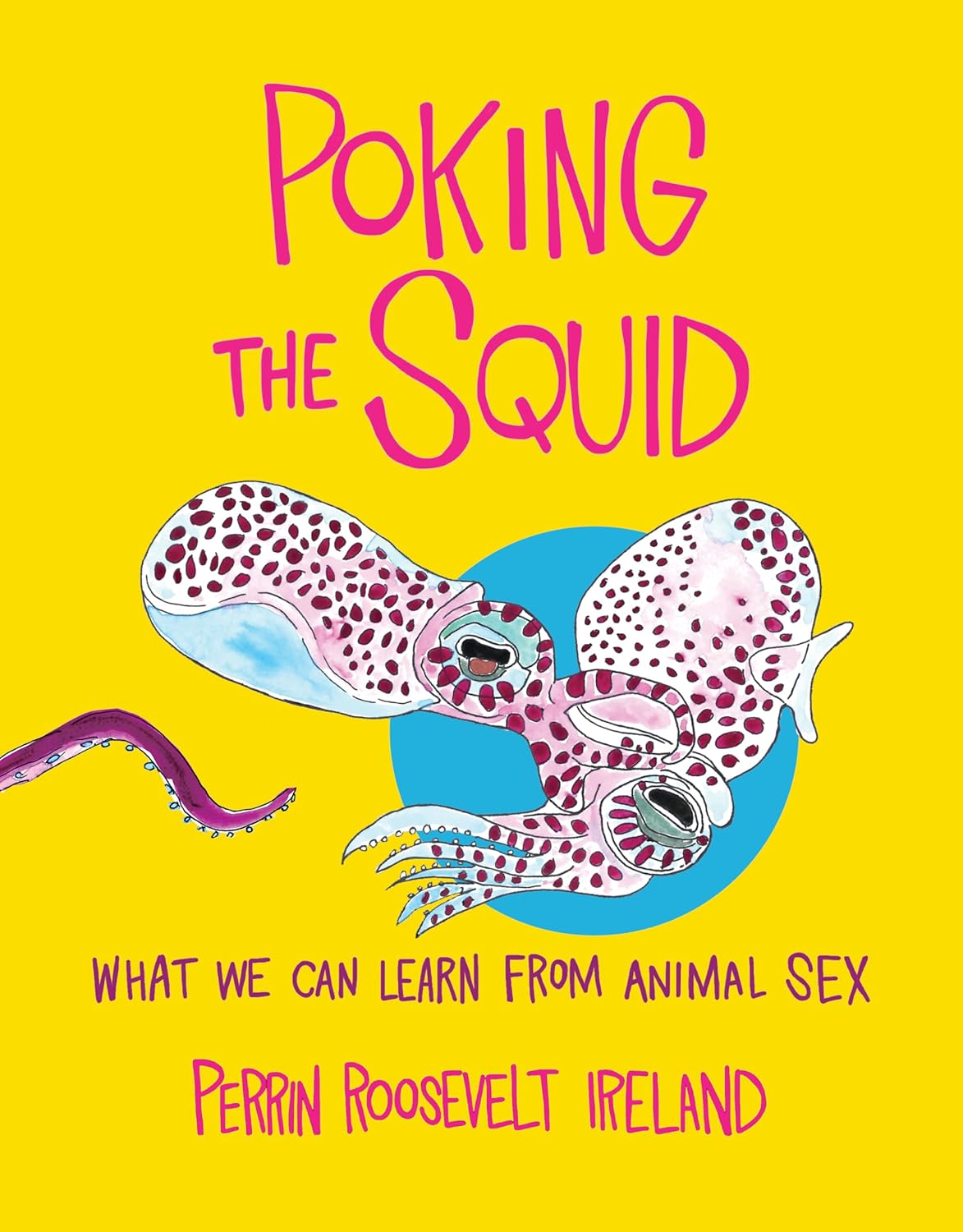 Environmental artist talks science comics, the Gulf of Maine and animal ...
