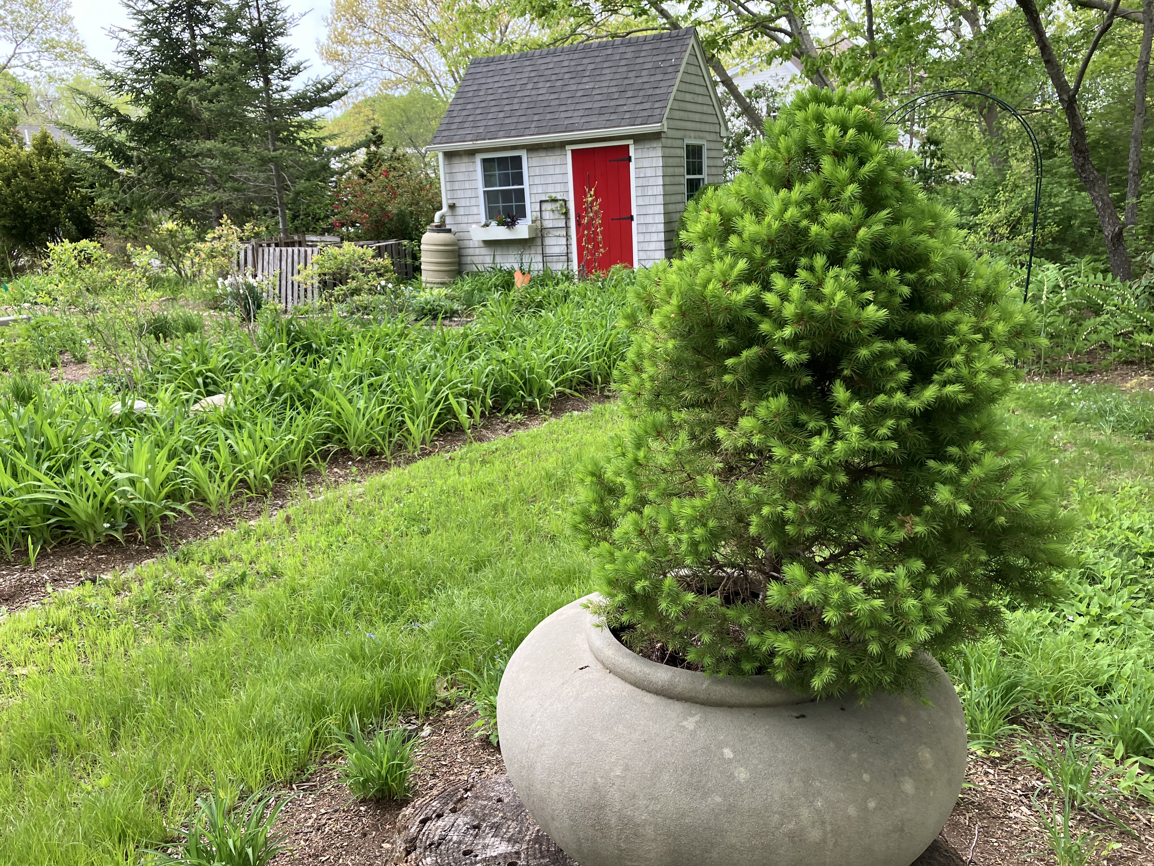 It’s time to get serious about container gardening