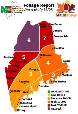 Maine Foliage Updates: Leaves dropping as peak foliage reaches coast