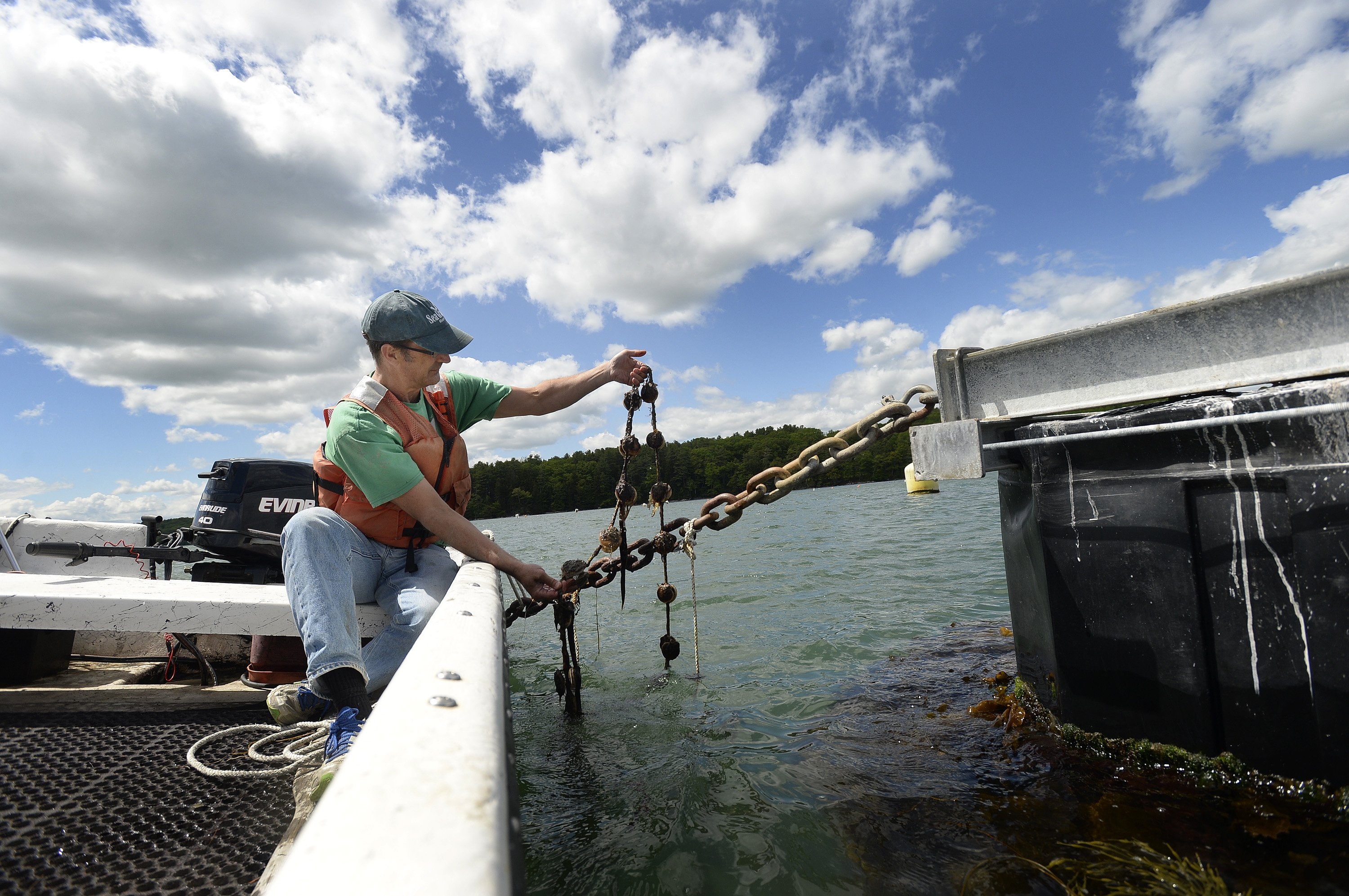 Maine Sea Grant funding restored