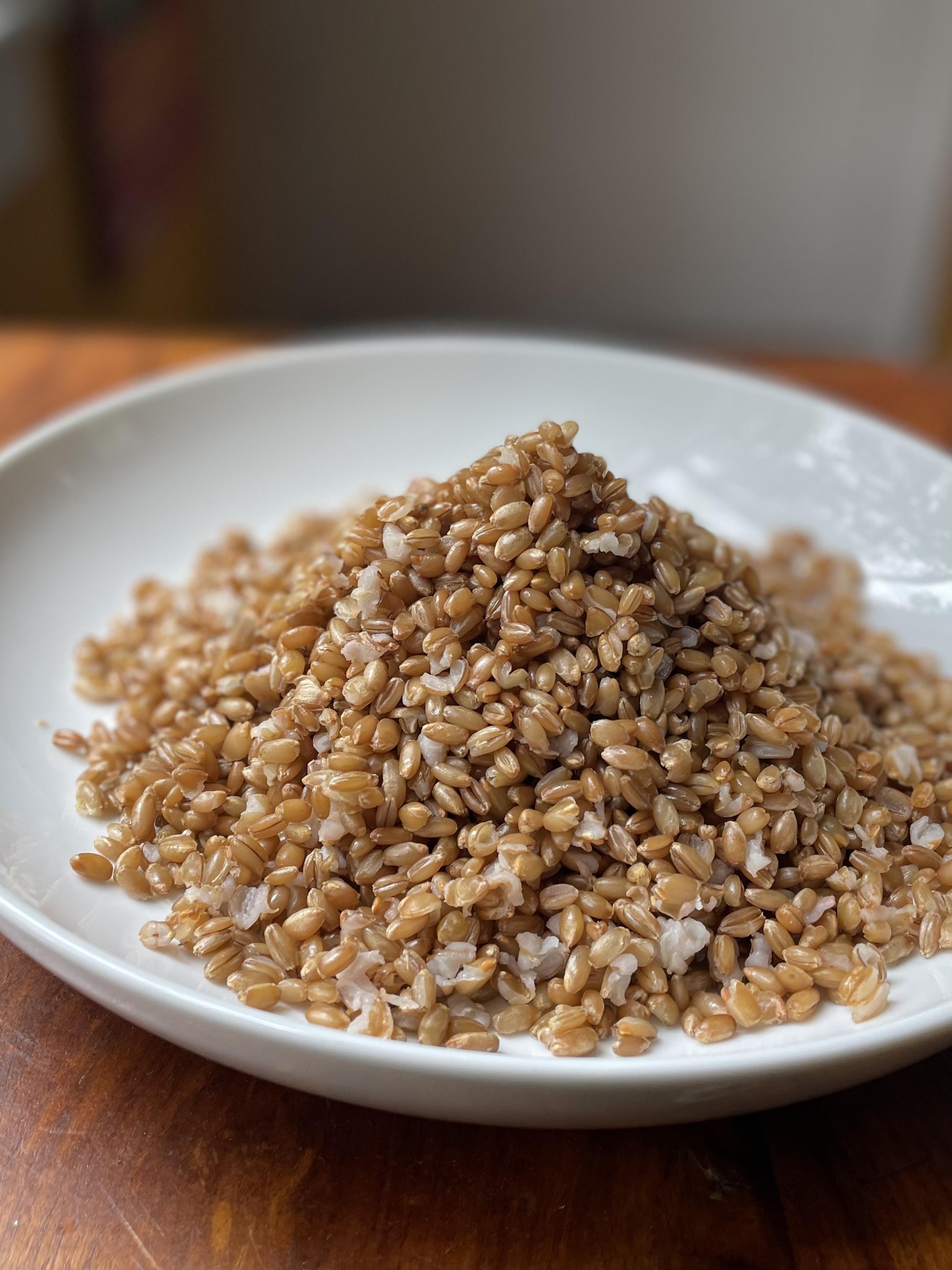 On a hot summer’s day, prepared whole grains are a cook’s best friend